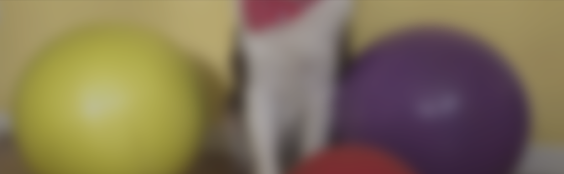 NATE – National Association of Treibball Enthusiasts